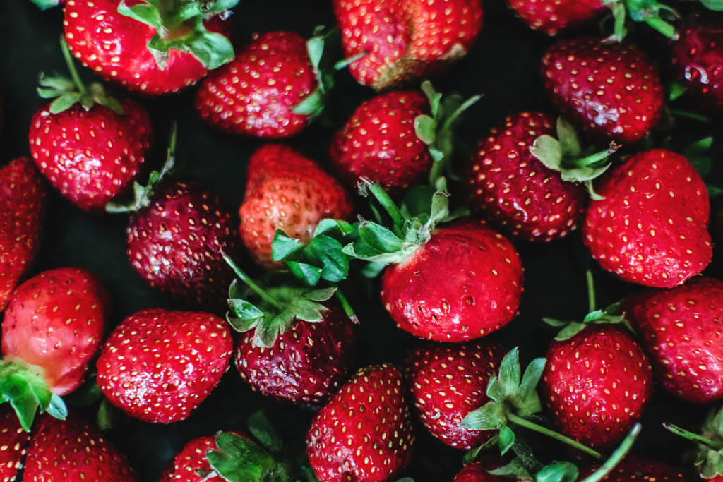 Infrutescência Revelada: A Complexidade Das 'Frutas Falsas’ | Todos os ...