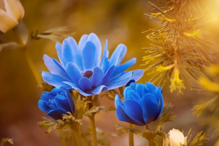 Cor Azul: A Cor mais Misteriosa Da Natureza | Todos os Fatos